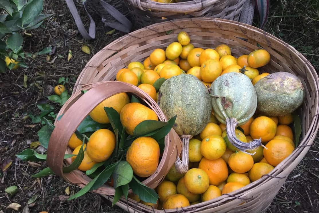 Meaningful holidays in Georgia - traditions, UNESCO and holidays ...